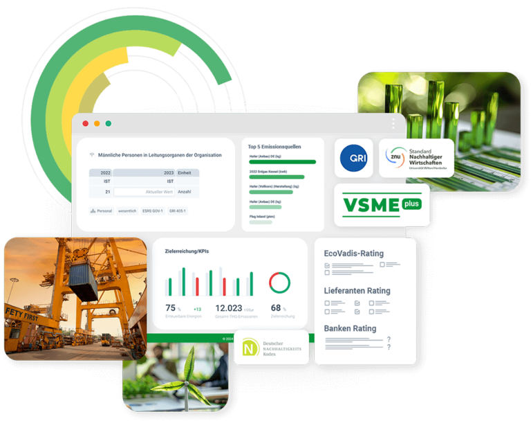 VSME Reporting Software für den Mittelstand